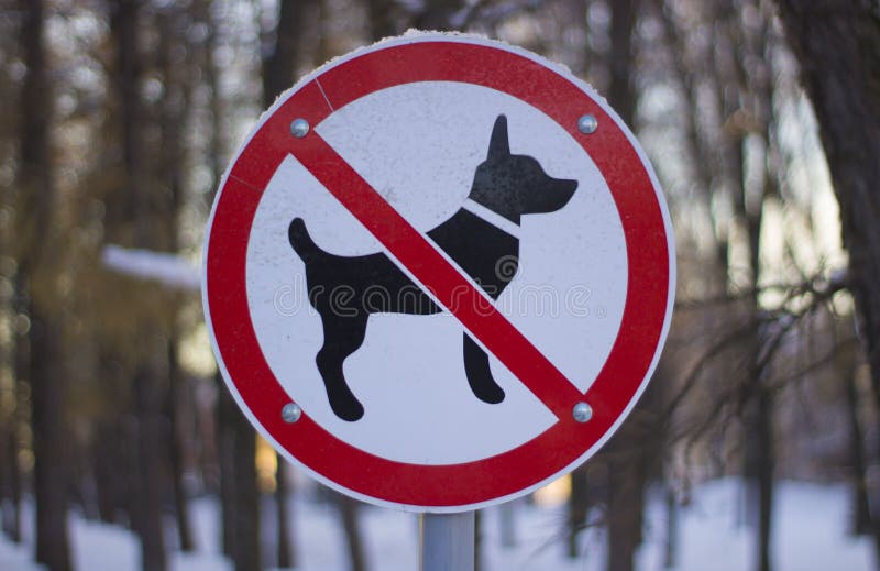 Walking of Dogs Banned stock image. Image of black, icon - 84554979