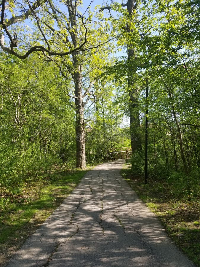 Walking Down a Long Path stock image. Image of forest - 184540541