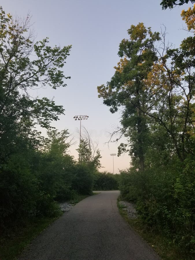 Walking Down a Sunset Trail Stock Photo - Image of leaf, plant: 190621982