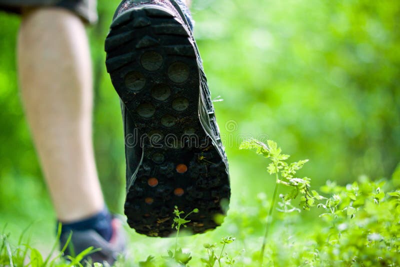 Women Walking stock image. Image of high, hiking, pedestrians - 1815287