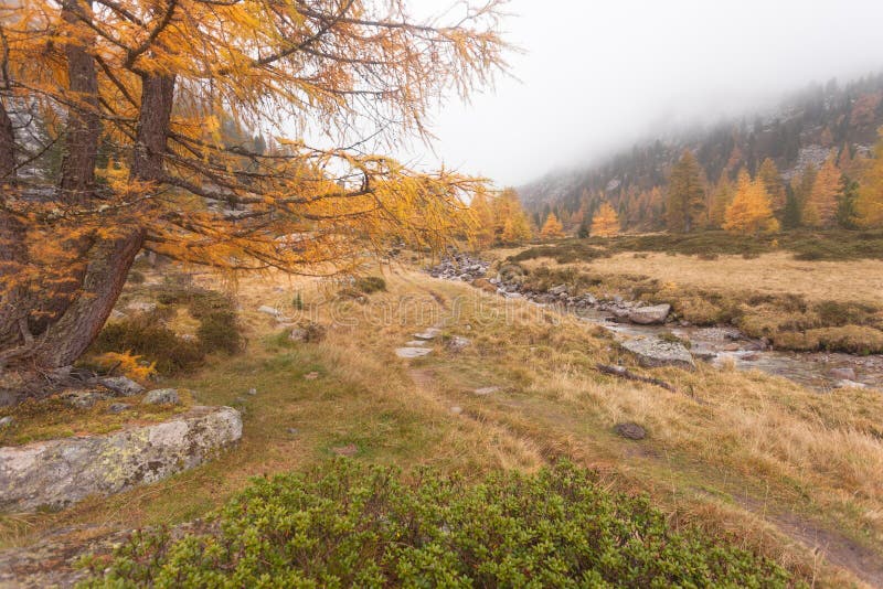 Walking at Fall in a Cloudy Day Next To a Mountain Stream Stock Photo ...