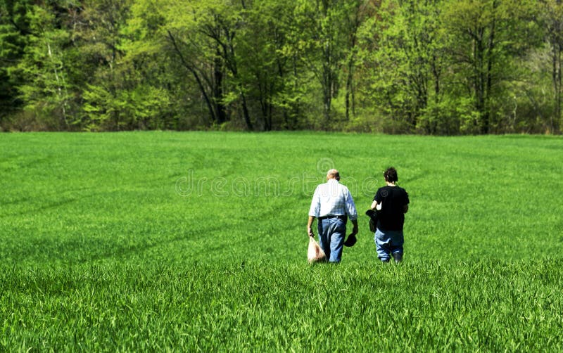 Walking in the Field stock image. Image of rural, grown - 3304393