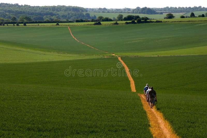 Walking through field stock image. Image of ramble, farming - 9603325