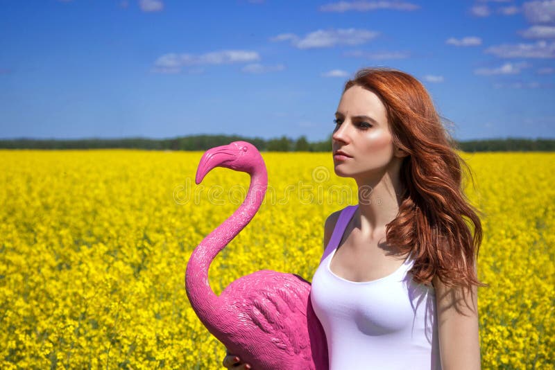 Walking with flamingo stock photo. Image of attractive - 127009000