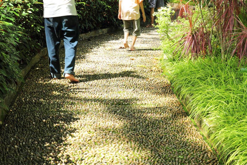 Walking on Foot Reflexology Path Stock Photo - Image of layout, foot ...