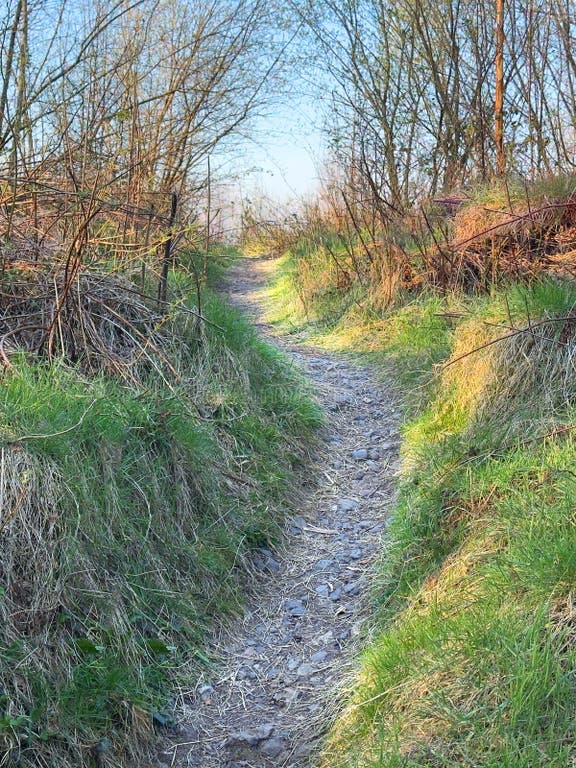 Walking Footpath in Countryside by the River Dee Stock Image - Image of ...
