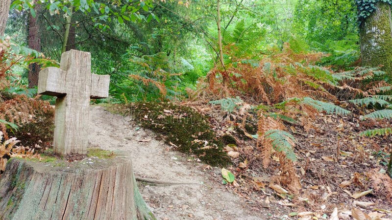 God is everywhere stock photo. Image of jungle, garden - 202089112