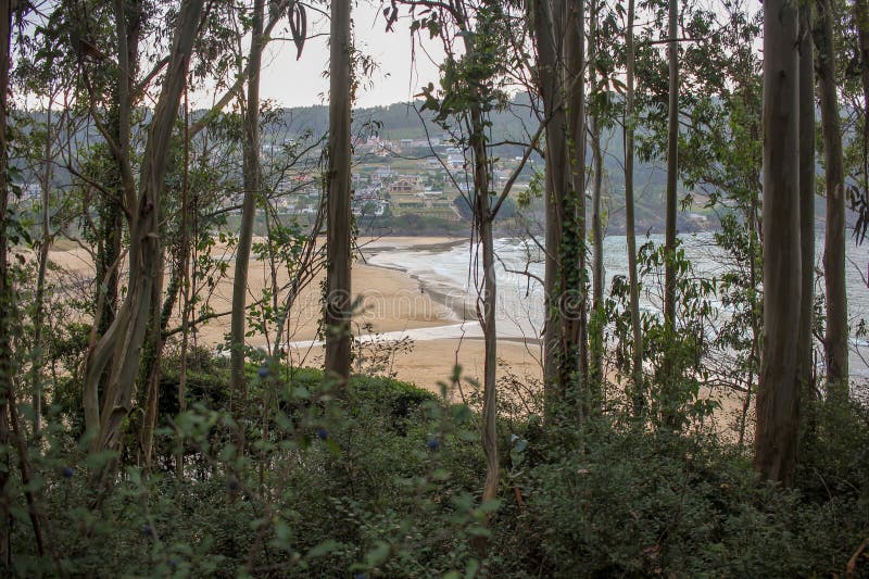 Walking in the Forest and Watching a Beach, Abrela Beach Stock Image ...