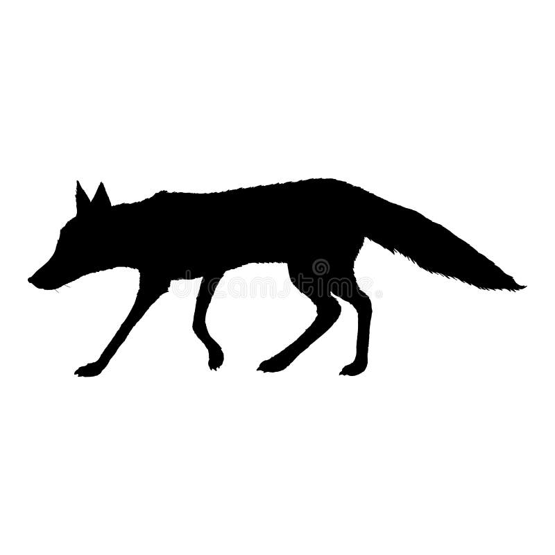 Walking Fox. Side View stock vector. Illustration of symbol - 223903284