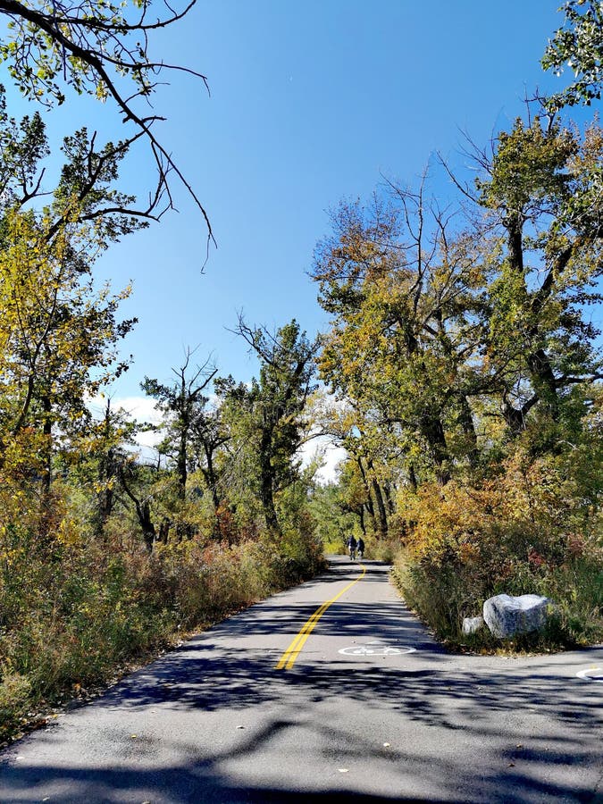 Walking Hiking Trail in Trees Stock Image - Image of leaf, lane: 232013109