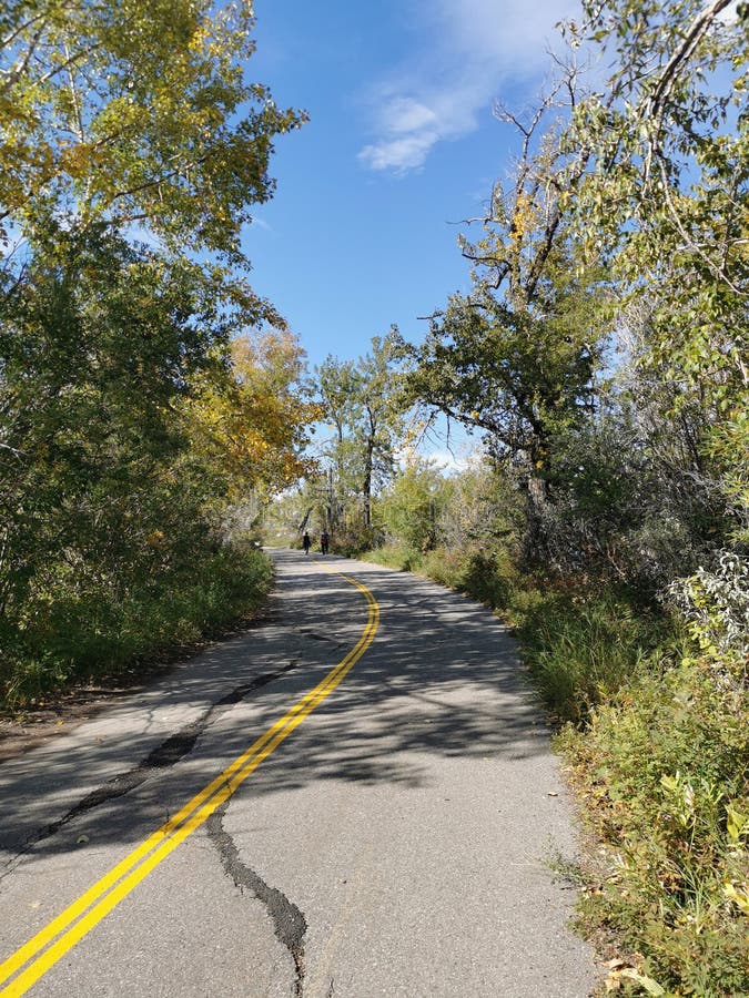 Walking Hiking Trail in Trees Stock Image - Image of plant, forest ...