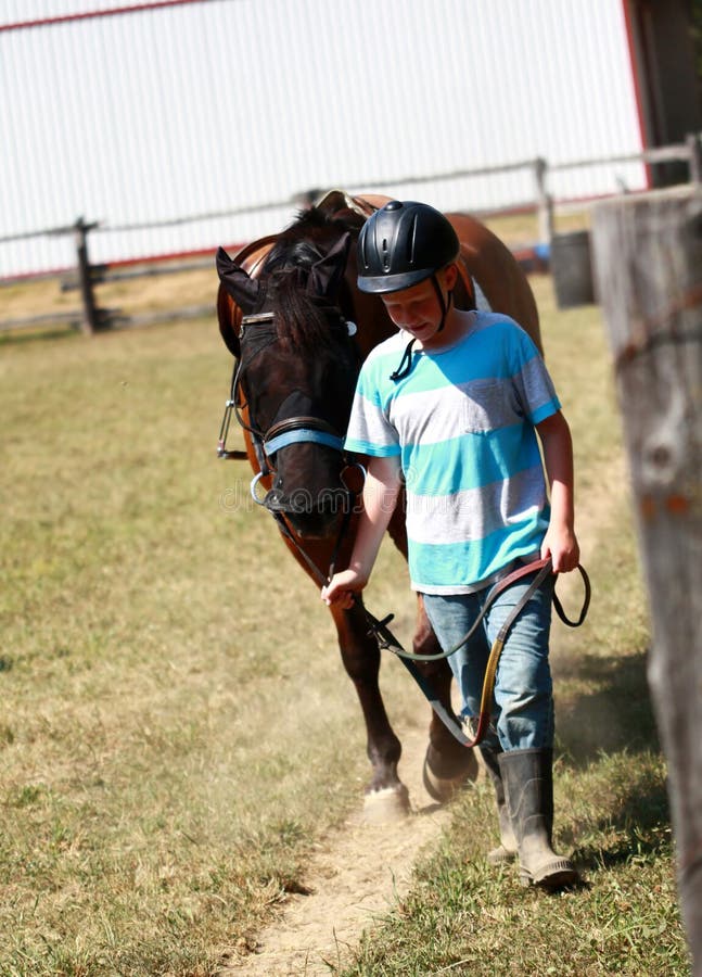 Walking the Horse stock image. Image of paddock, ride - 25935383