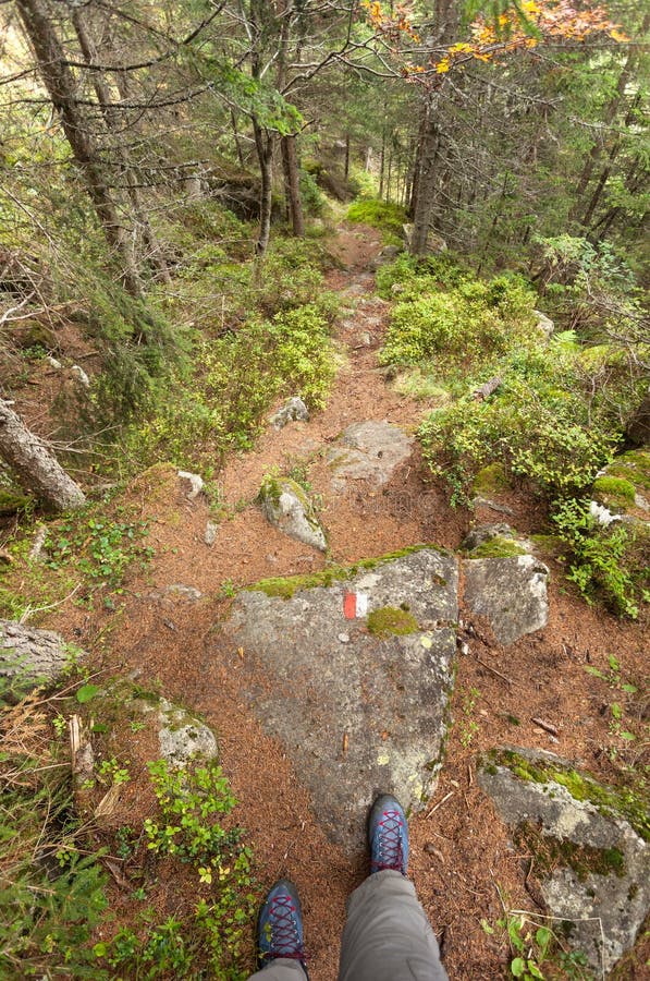 Walking Long a Mountain Path at Fall in the Woods Stock Photo - Image ...