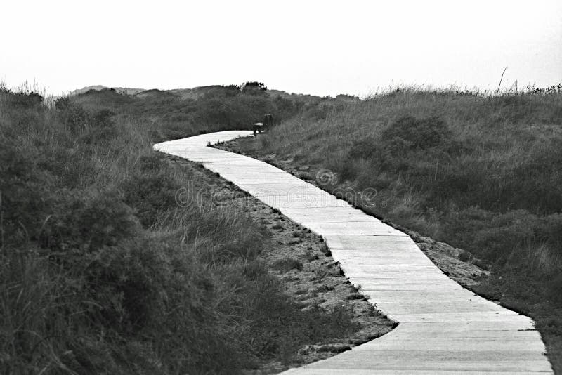 Walking on a Long Path in the Dunes in Autumn Stock Image - Image of ...