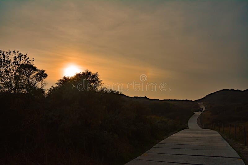 Long Path in Forest Full of Fallen Autumn Leaves Stock Image - Image of ...