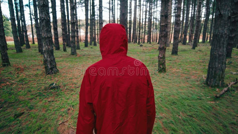 Walking Man in Red Jacket into the Forest in Autumn Stock Image - Image ...