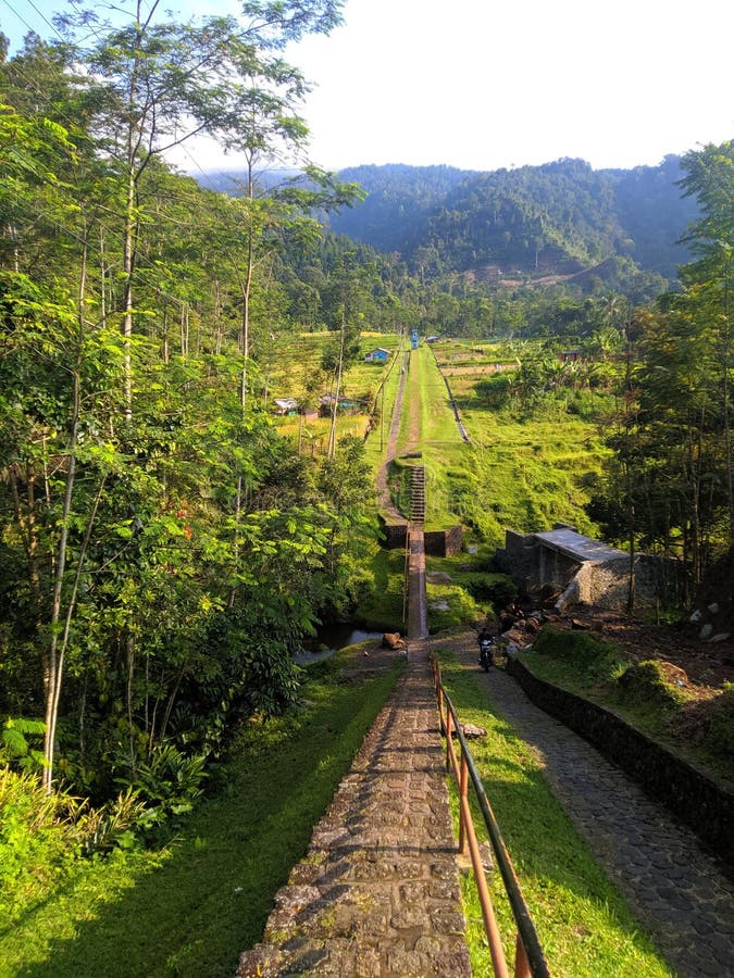 Walking in the Middle of the Forest Stock Image - Image of trail ...