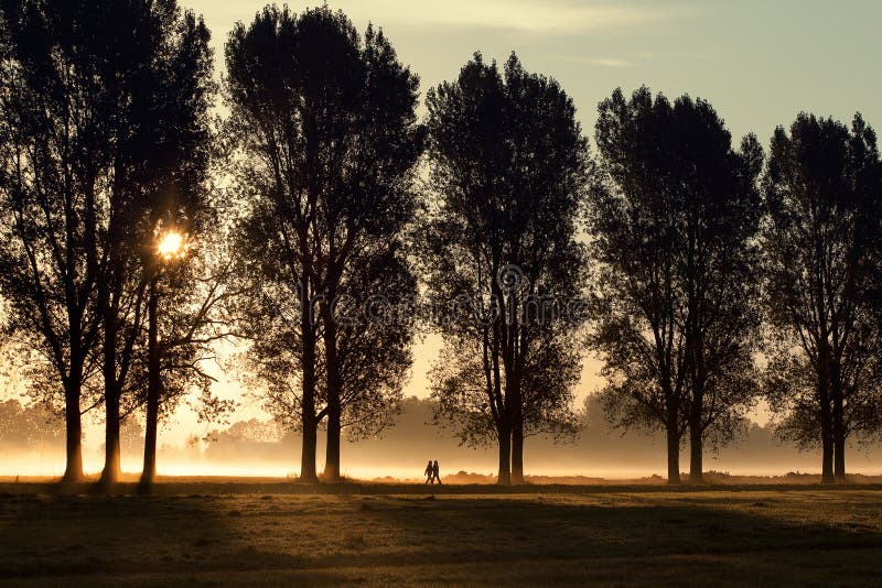 Walking in the Morning Sun 1 Stock Image - Image of rows, lone: 27137649