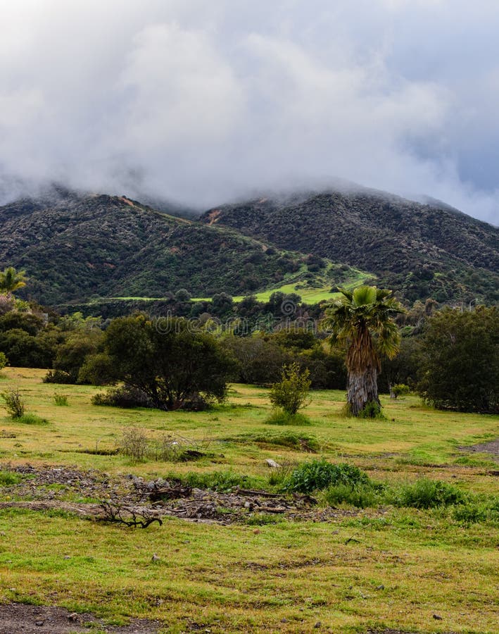 Walking into the Mountain Mist Stock Photo - Image of mountains, rain ...