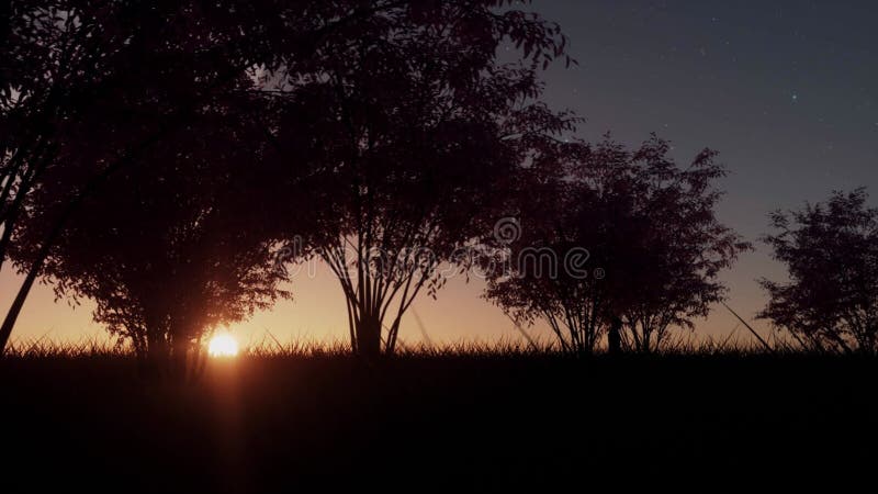 Walking in Nature Timelapse - Loop Landscape Animation Background Stock ...