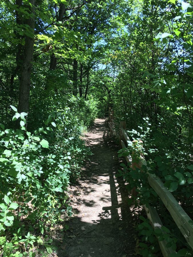 Nature trail stock image. Image of trail, nature, walking - 121867709