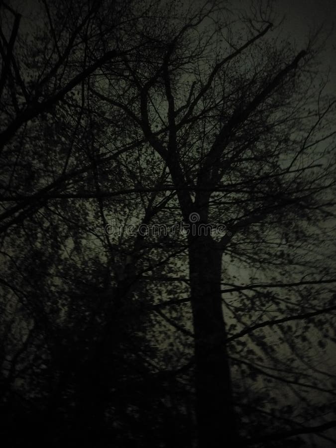 Random Night Pics, Nightstreets Editorial Photo - Image of nightstreets ...