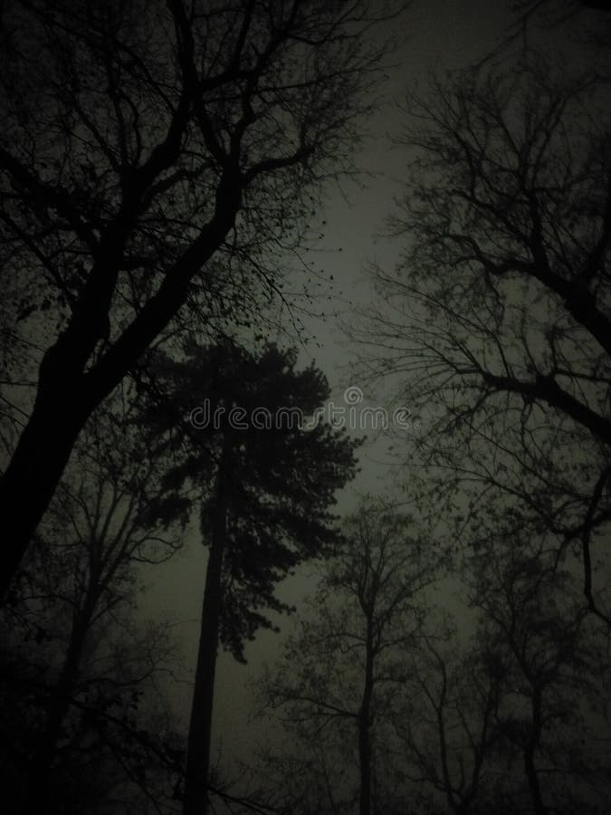 Random Night Pics, Nightstreets Editorial Photo - Image of walking ...