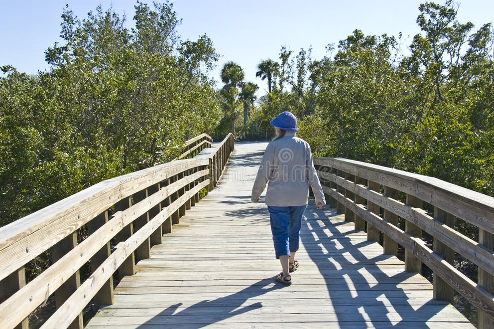 Walking Over Bridge stock image. Image of walkway, woman - 18902485