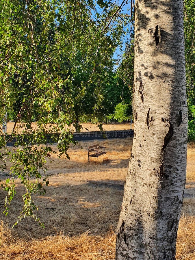 Walking in the Park, Beautiful Colours Stock Image - Image of park ...