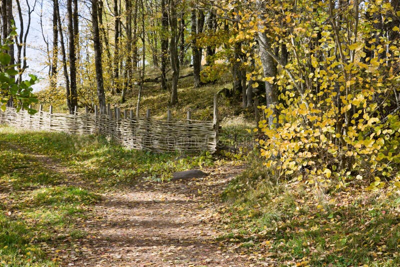 Walking path stock photo. Image of forest, rural, scene - 15301326