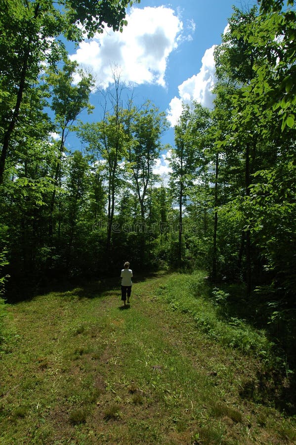 Walking a path stock photo. Image of walk, woods, road - 186714