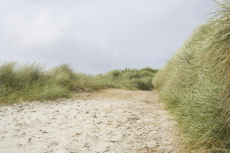 Walking path through park stock photo. Image of outdoors - 31673712