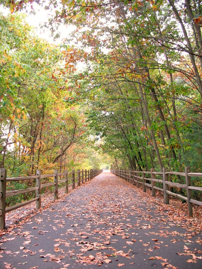 Walking Path stock photo. Image of nature, colorful, leaves - 5910008