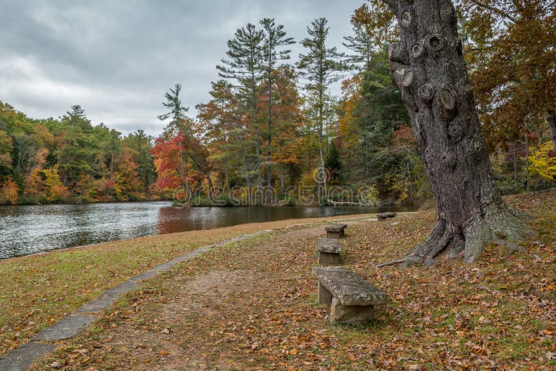 Walking Path Along the Lake at the Park Stock Photo - Image of benches ...