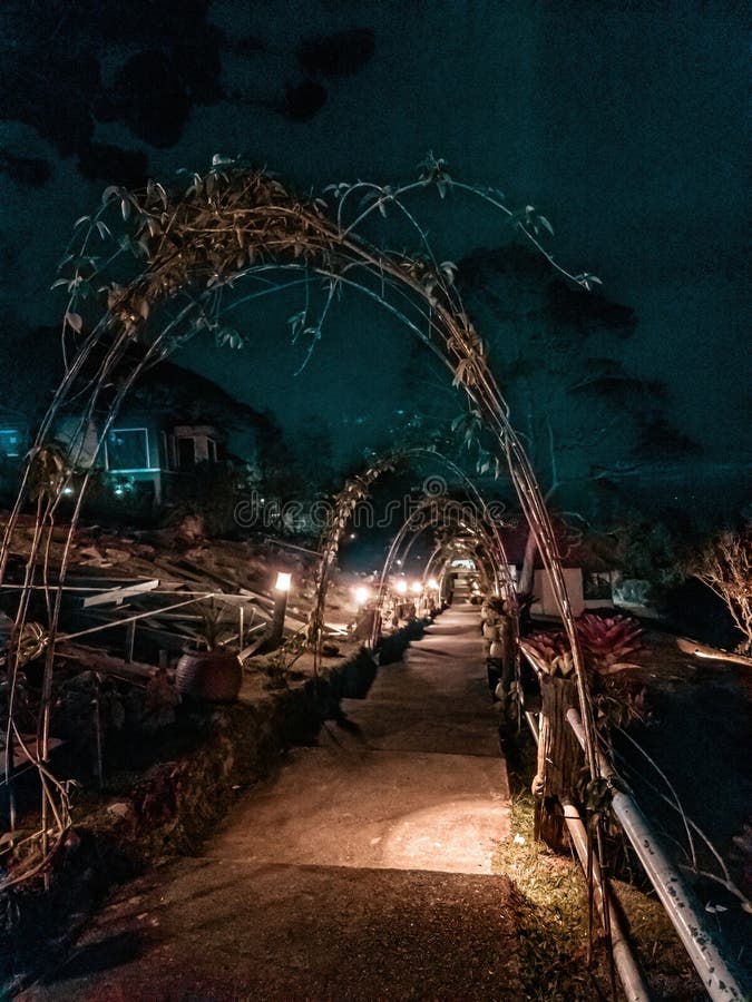 Walking Path Arches with Lights at Night in Gunung Jerai Stock Photo ...