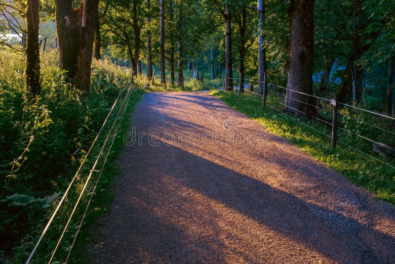 The Walking Path Around Bogstadvannet Lake in Oslo. Stock Image - Image ...