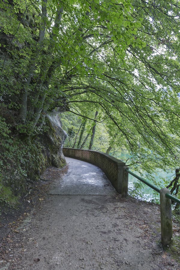 Walking Path Around Lake Bled Stock Photo - Image of scenic, trail ...