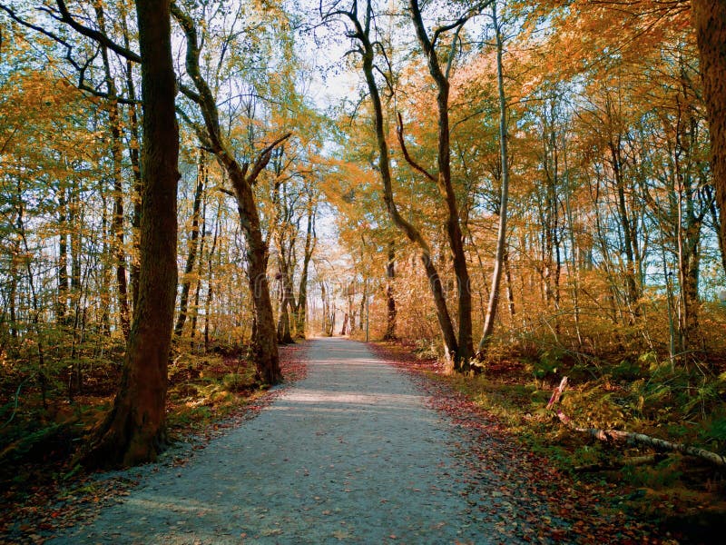 Walking Path Around the Mosvatnet, Stavanger Stock Image - Image of ...