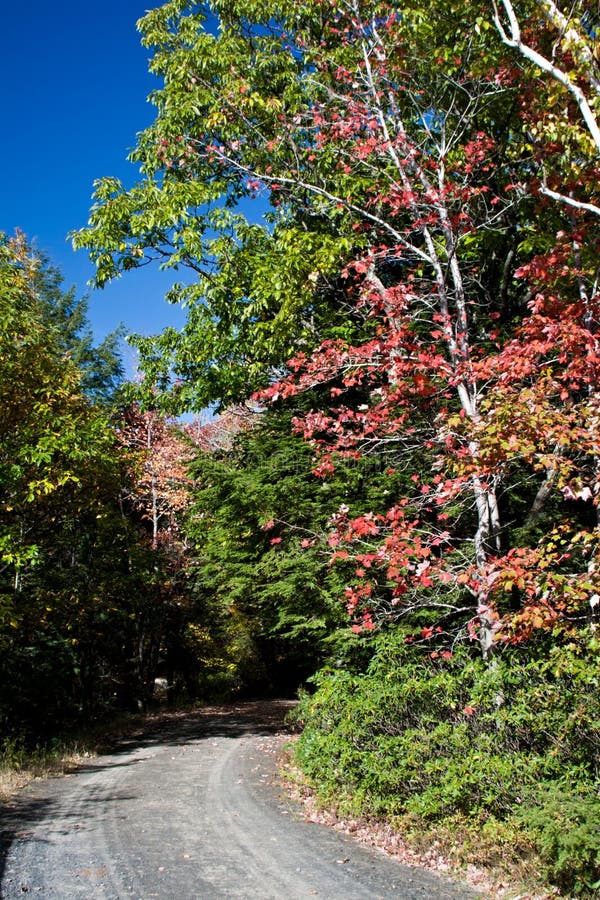 A Path with the Colors of Autumn Stock Photo - Image of minnesota ...