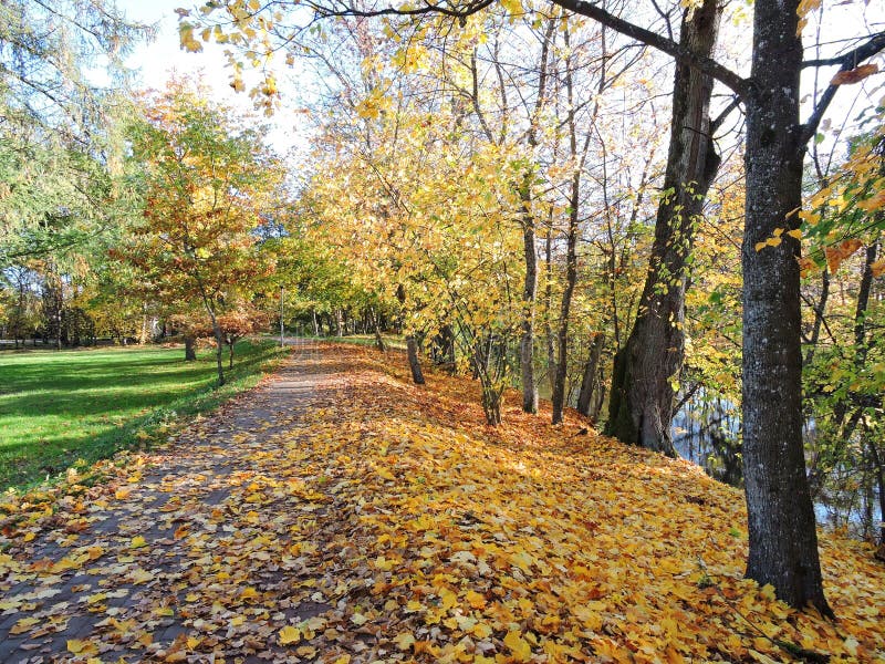 Walking Path and Autumn Trees, Lithuania Stock Photo - Image of river ...
