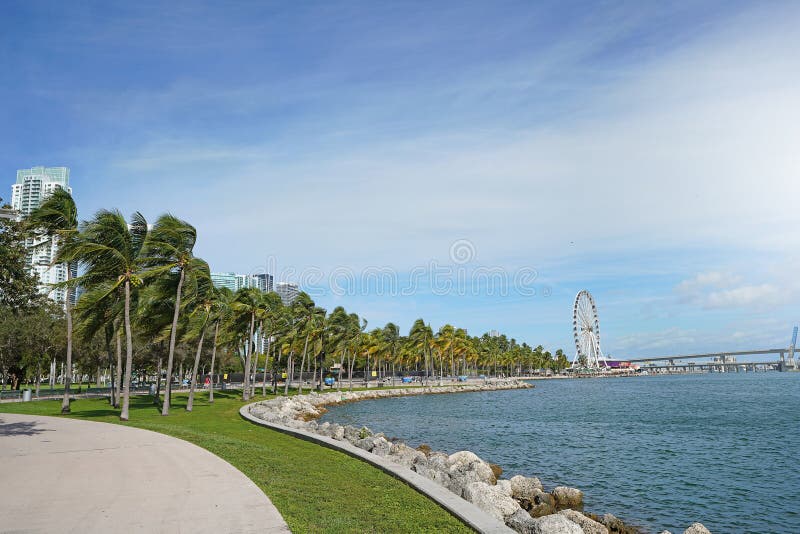 Walking Path in Bayfront Park Along Biscayne Bay in Downtown Miami Stock Photo - Image of ...