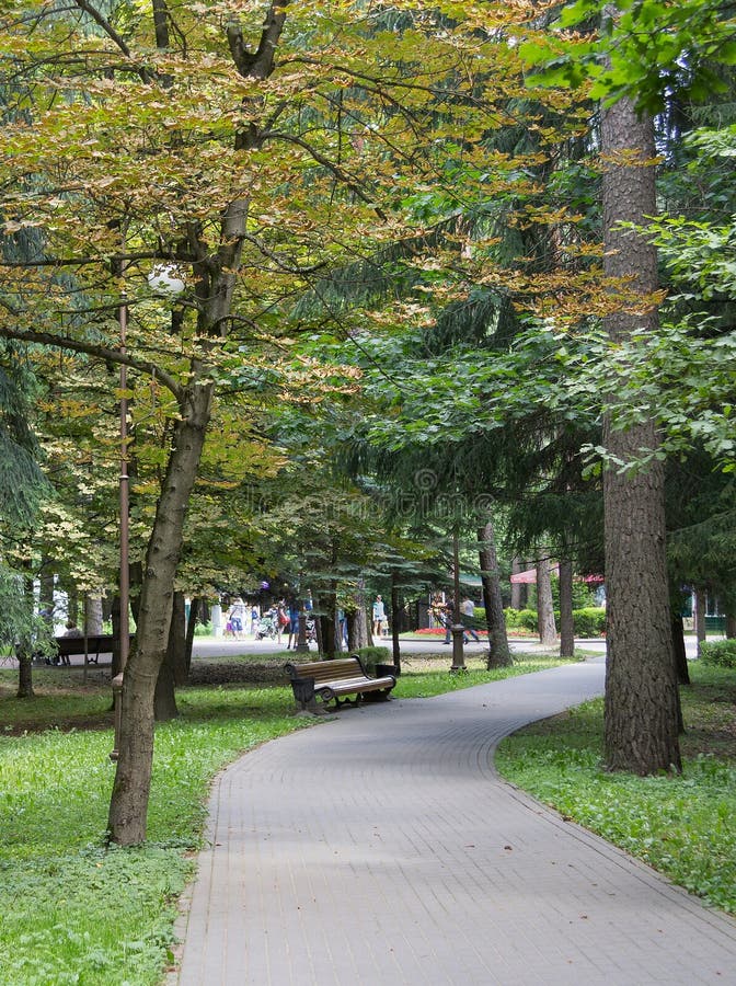 Walking Path and Bench in the Park in Summer Stock Image - Image of ...