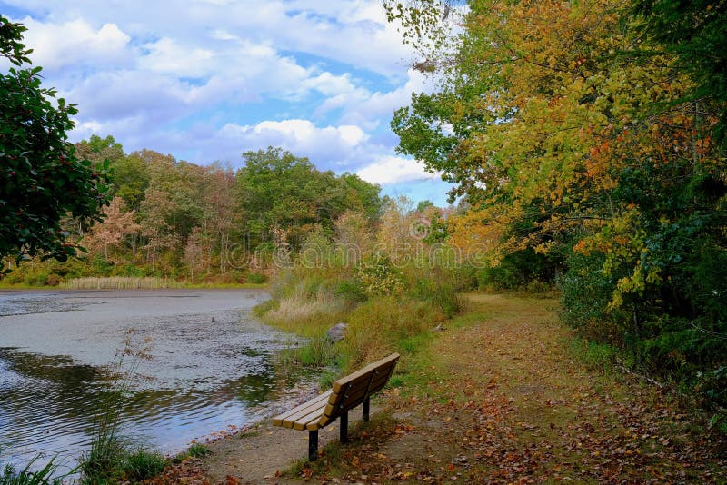 Walking Path and Bench with Peaceful Lake View in Autumn Stock Photo ...