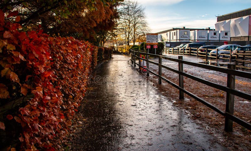 Walking Path on a Bright and Rainy Day Editorial Photography - Image of ...