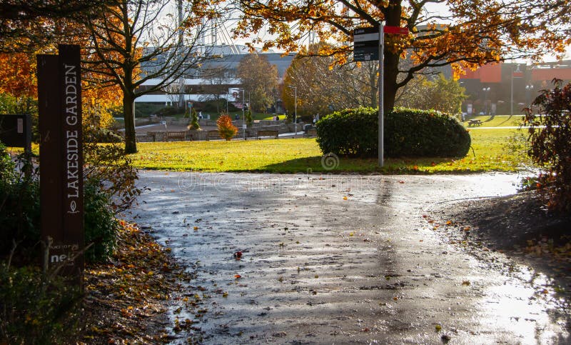 Rainy walking path stock image. Image of nature, walkway - 26160745