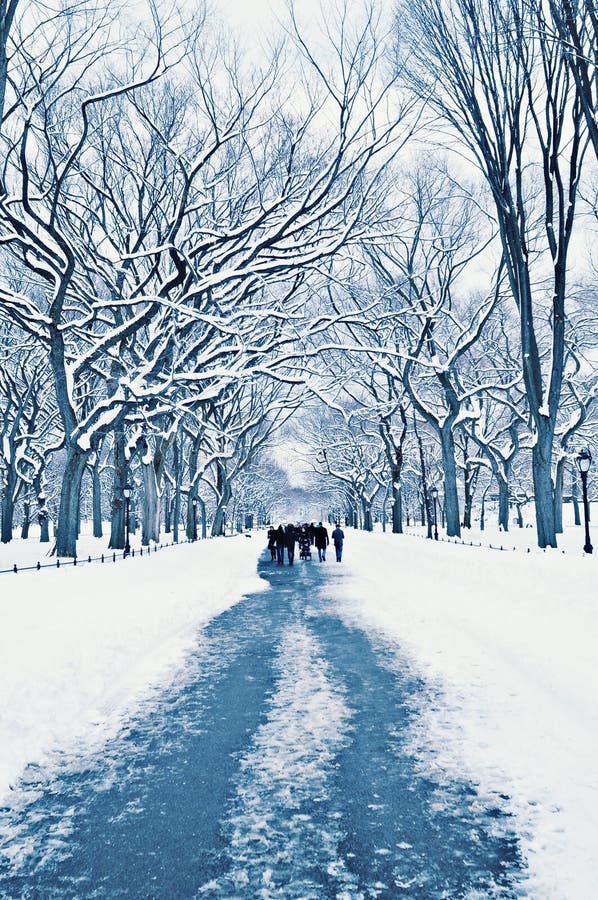 Walking on a Path in Central Park in Winter Stock Image - Image of york ...