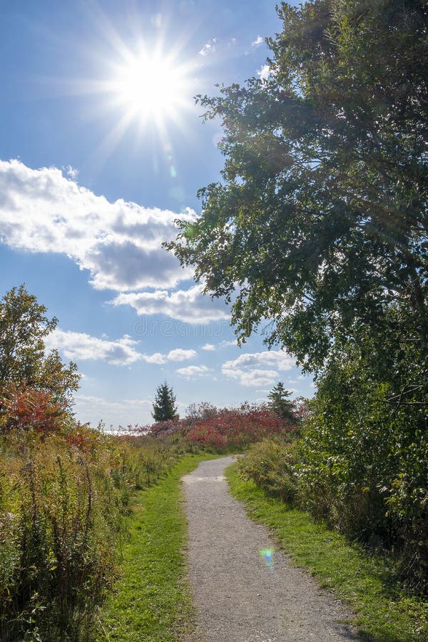 Fall Foliage Path stock image. Image of background, forest - 200093953