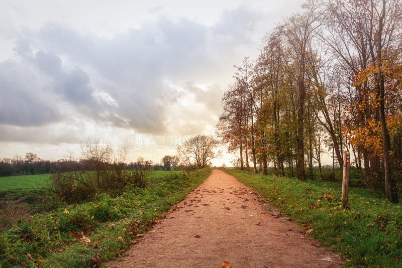 Walking Path through the Dutch Countryside in Autumn Stock Image ...