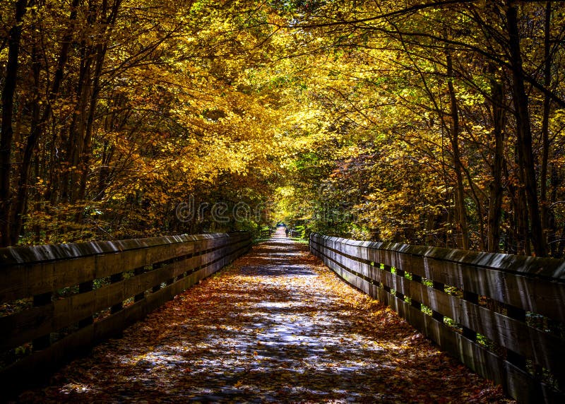 Walking path in fall stock image. Image of fence, walking - 27235679