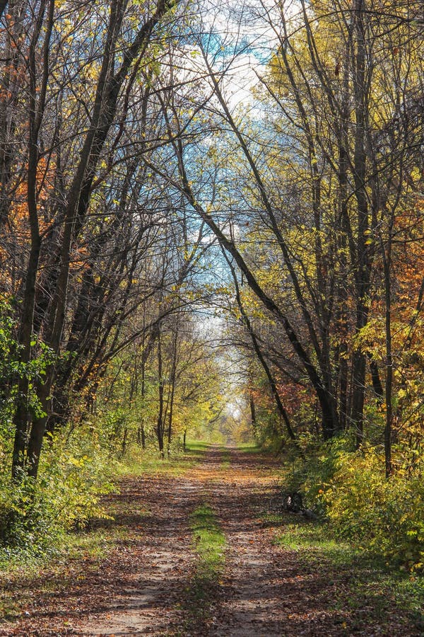 Walking Path in Fall stock photo. Image of color, quiet - 36304866